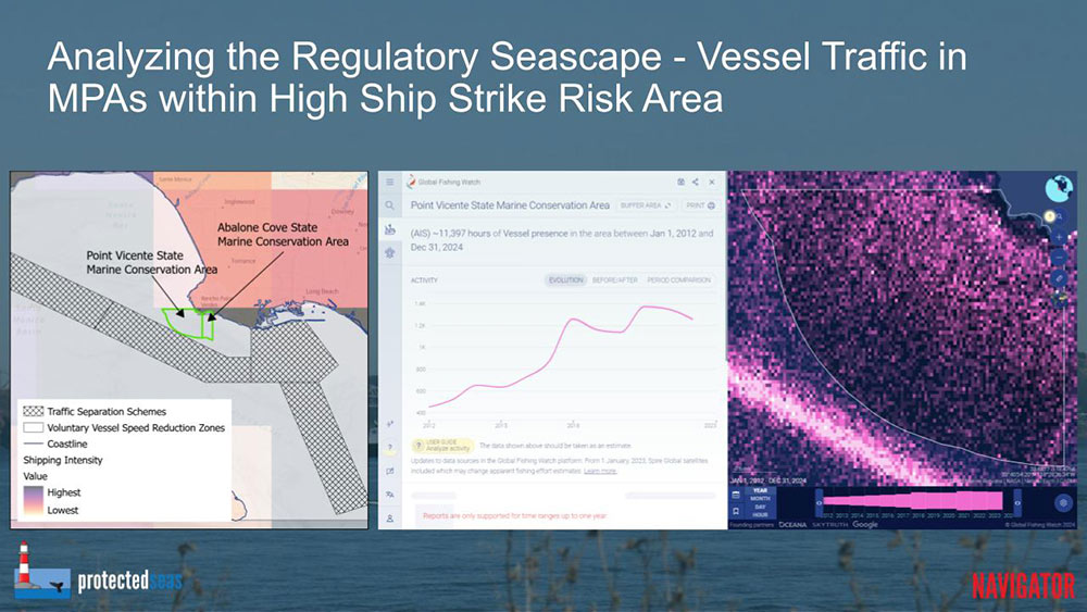Whales: Navigator’s Speed Zones Layer Can Help Inform Whale Protections ...